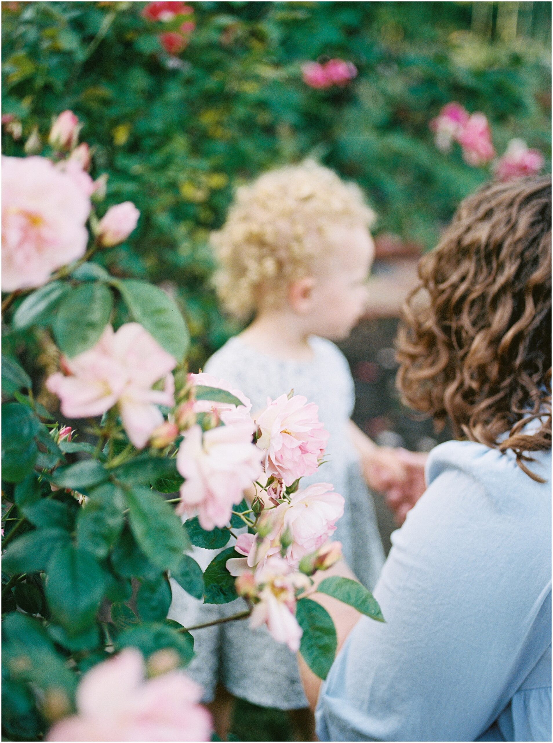 Spring Garden Family Photos Washington DC Family Photographer